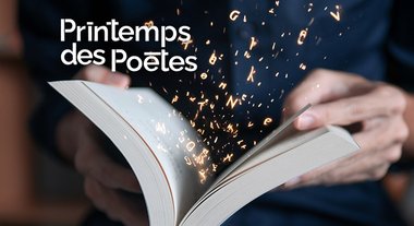 Livre : Tous les Livres sur votre Librairie en Ligne Cultura