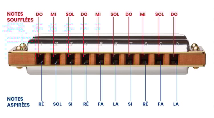 Quel harmonica choisir