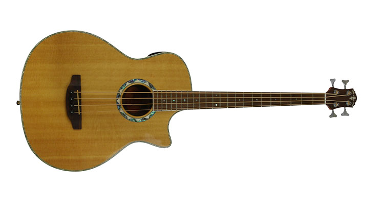 Comment Choisir sa Guitare Basse ? Instruments de Musique